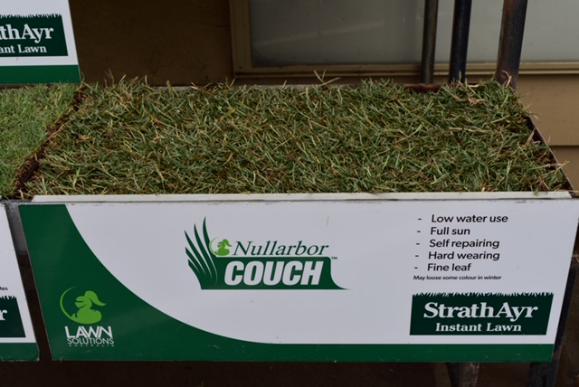 Instant Turf in Melbourne | Turf Suppliers in Melbourne | Newport Premix