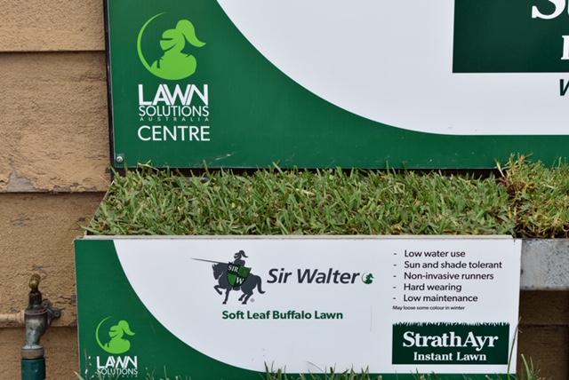 Instant Turf in Melbourne | Turf Suppliers in Melbourne | Newport Premix